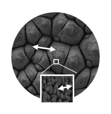 Cailabs | Case study ALPhANOV increases surface texturing process ...